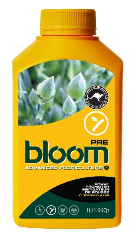 Bloom Roots – Bloom