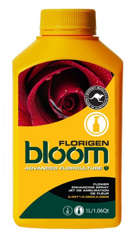 Bloom Florigen – Bloom